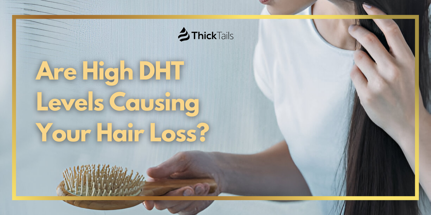 Are High DHT Levels Causing Your Hair Loss? – ThickTails